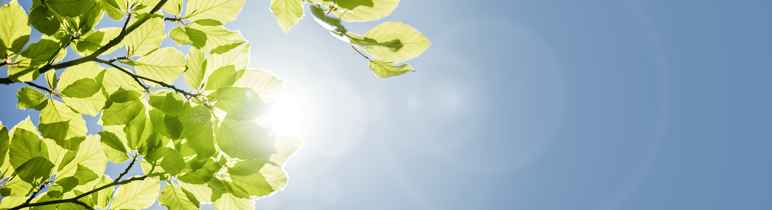 Accueil - Image Conseil - agence de communication - Image Conseil